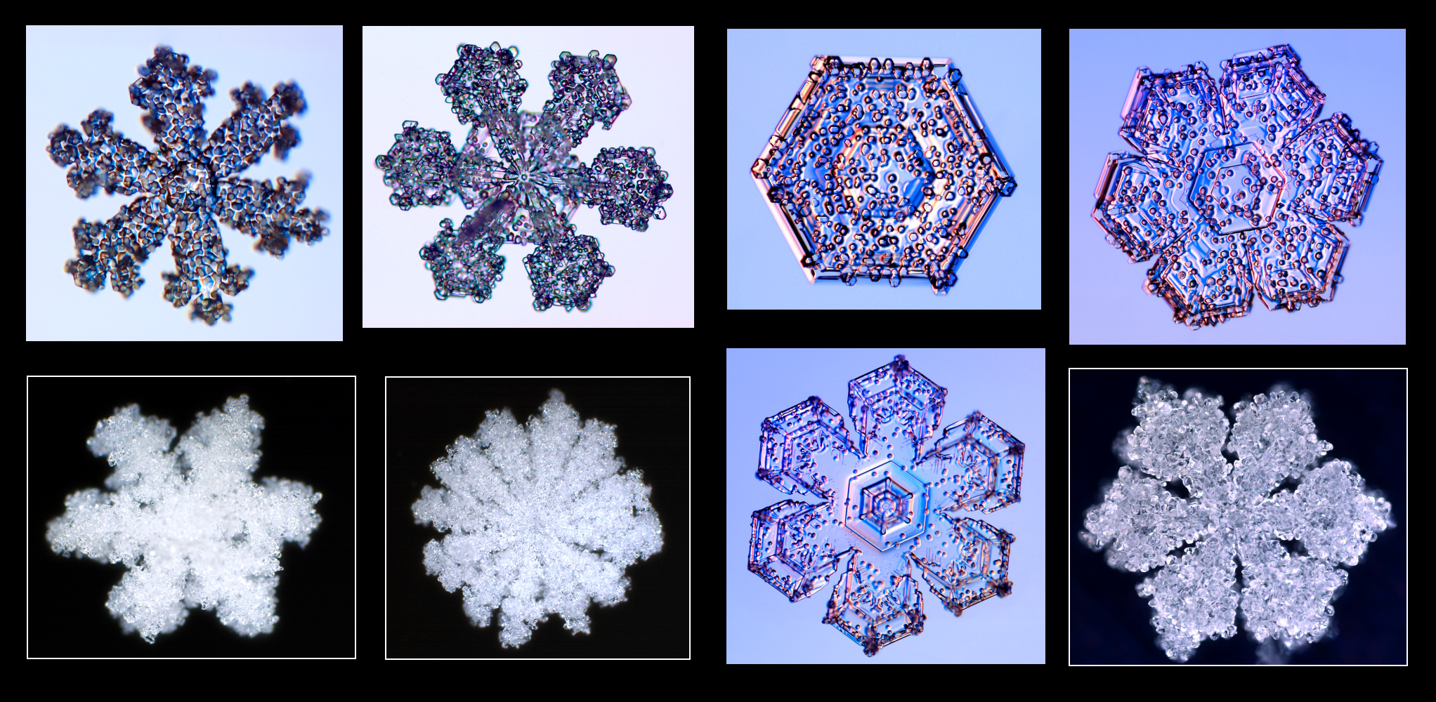 Guide To Snowflakes SnowCrystals
