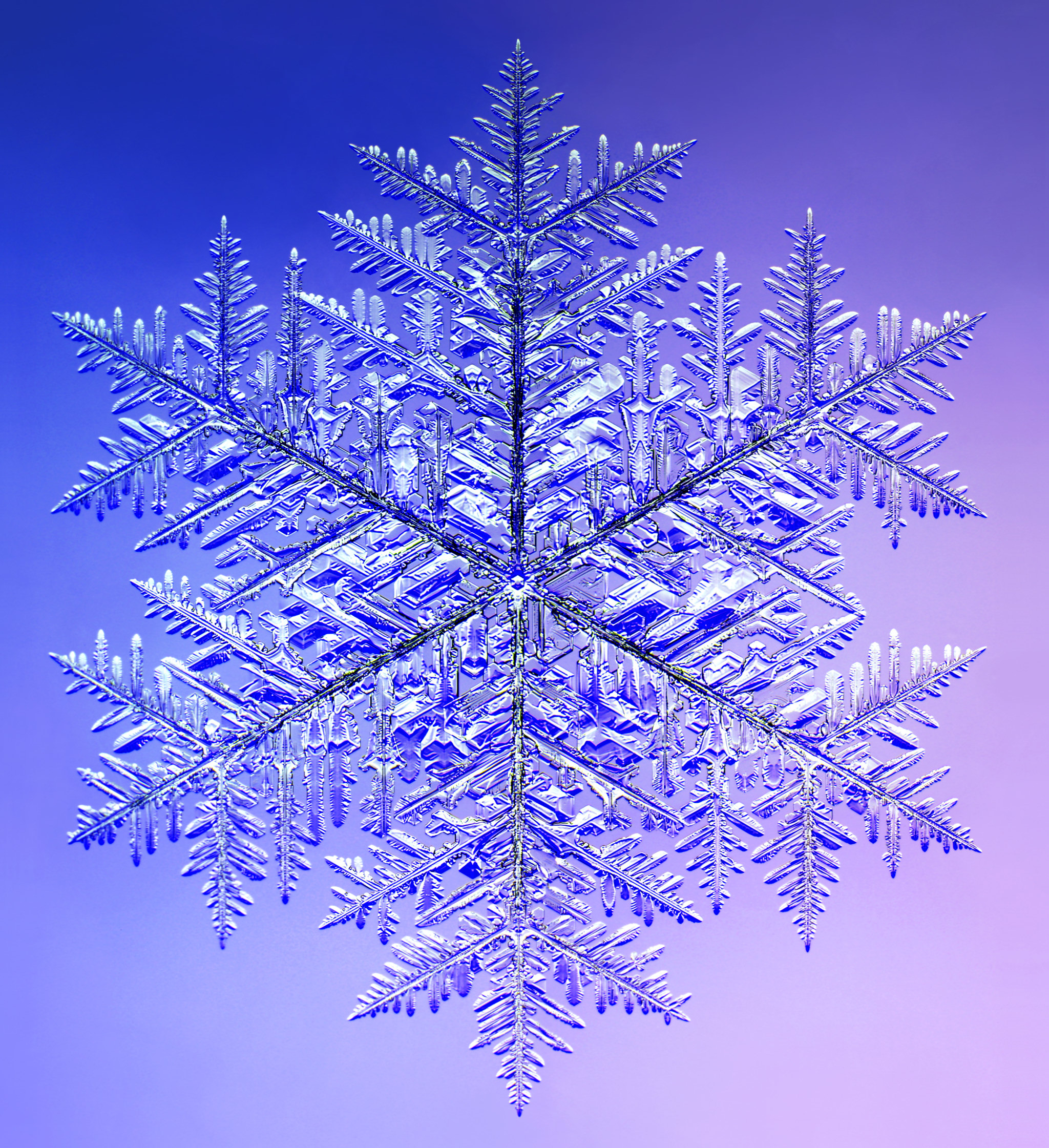 Monster Snowflake SnowCrystals