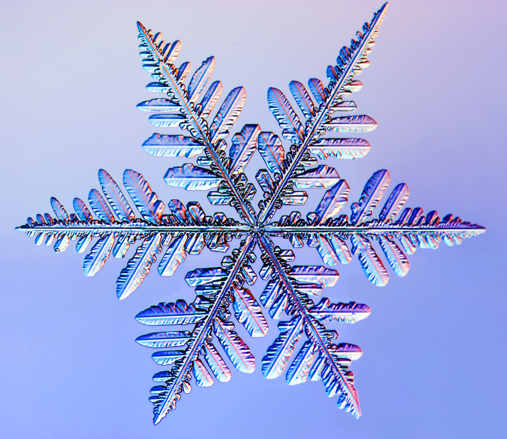 Snowflake Photographs SnowCrystals