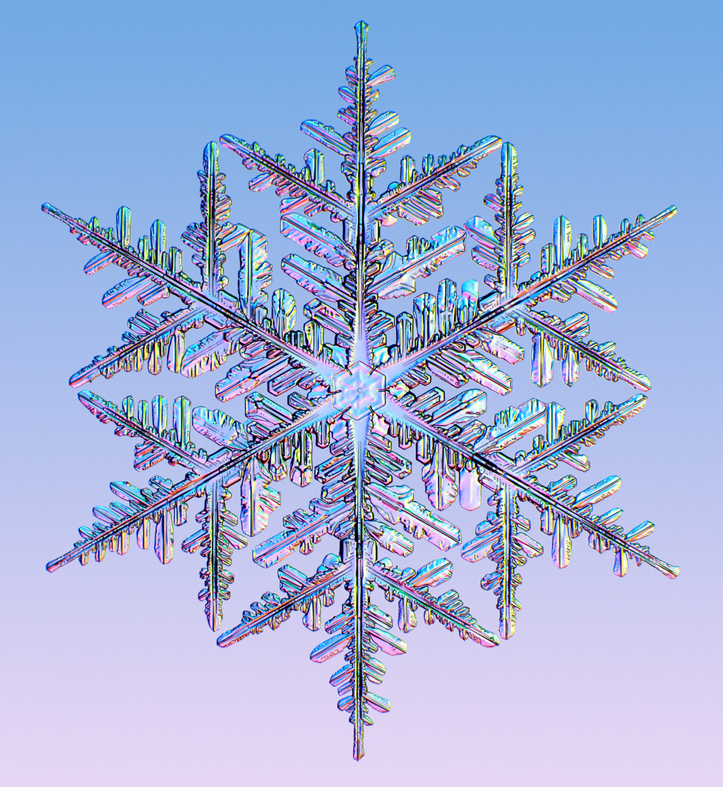 Snowflake Photographs SnowCrystals